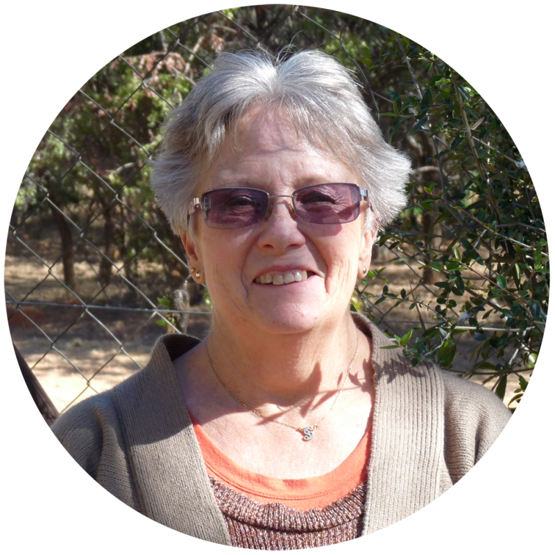 Dambari Team - Dambari