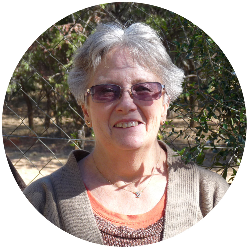 Dambari Team - Dambari